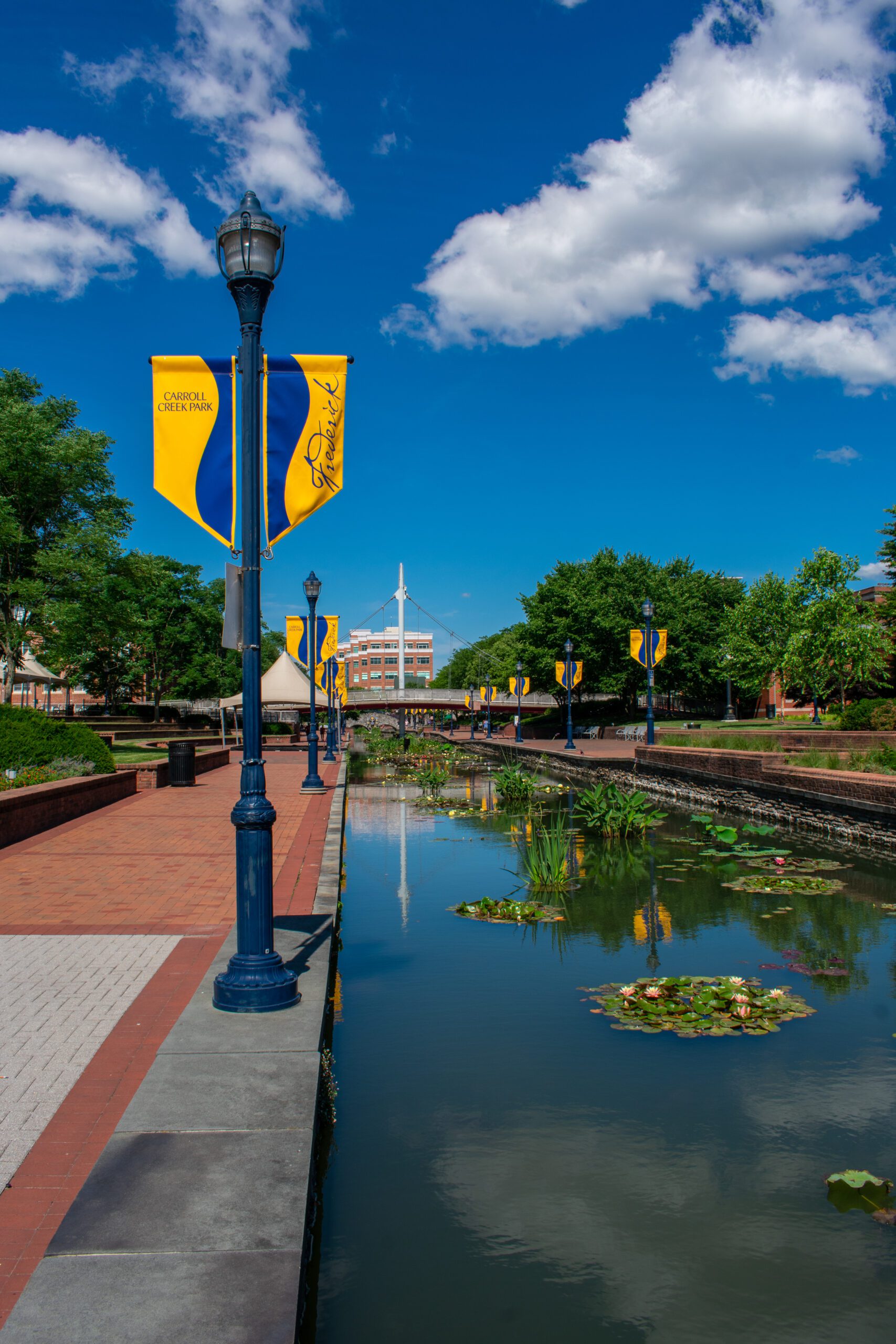 Frederick Historic Documentary Fund - The Community Foundation of ...